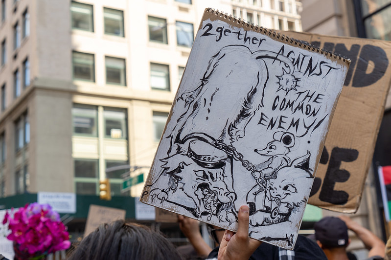 Protests continue on Independence Day - Pavement Pieces