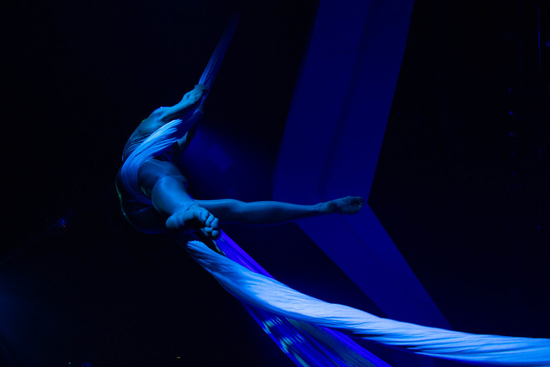 Beautiful Nonsense: Nightlife Revival at House of Yes - Pavement Pieces